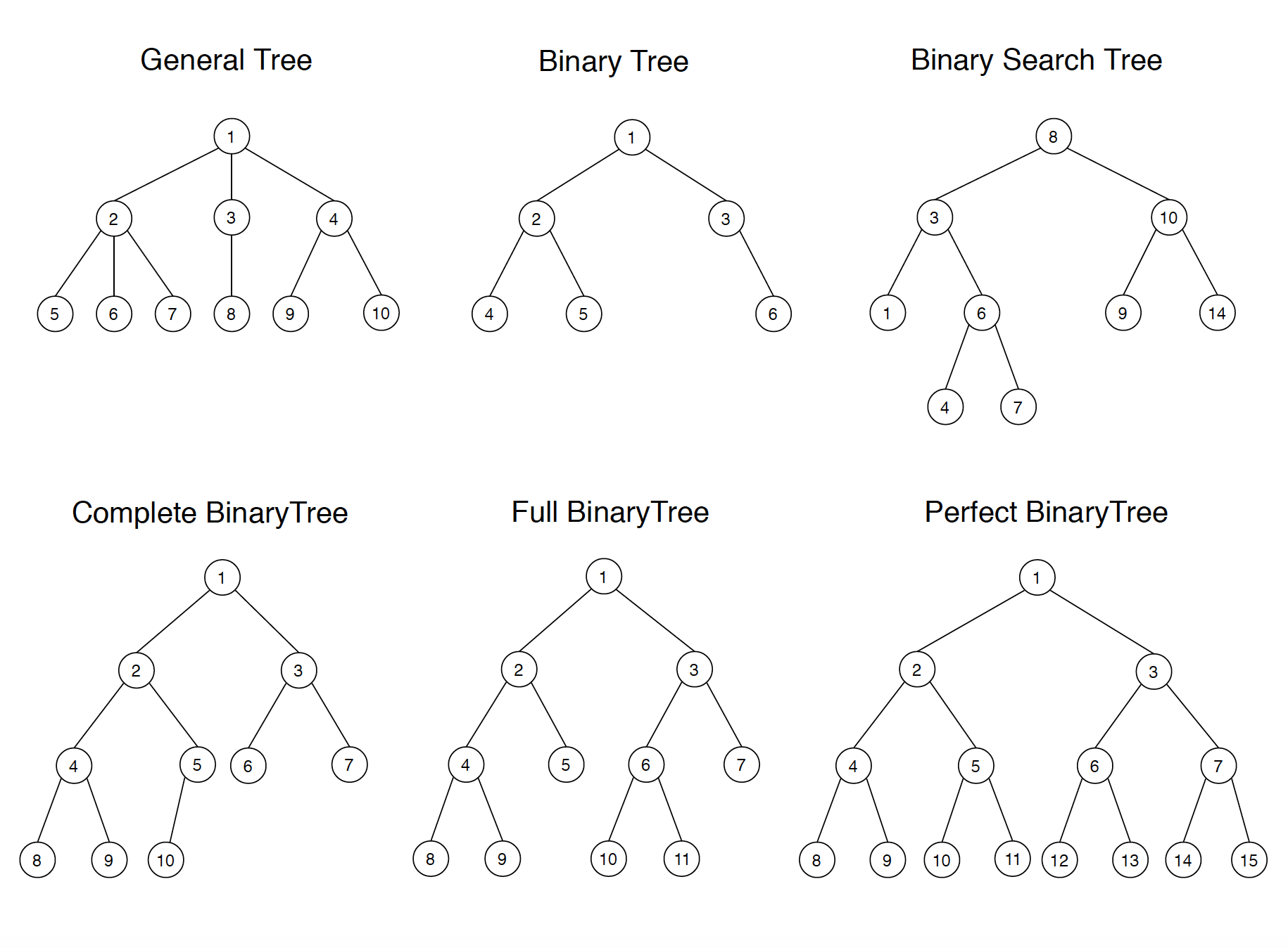 Tree Structure Tree Structure